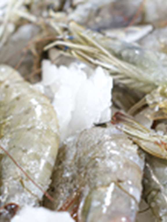 Commandez en ligne vos produits de la mer - Mericq